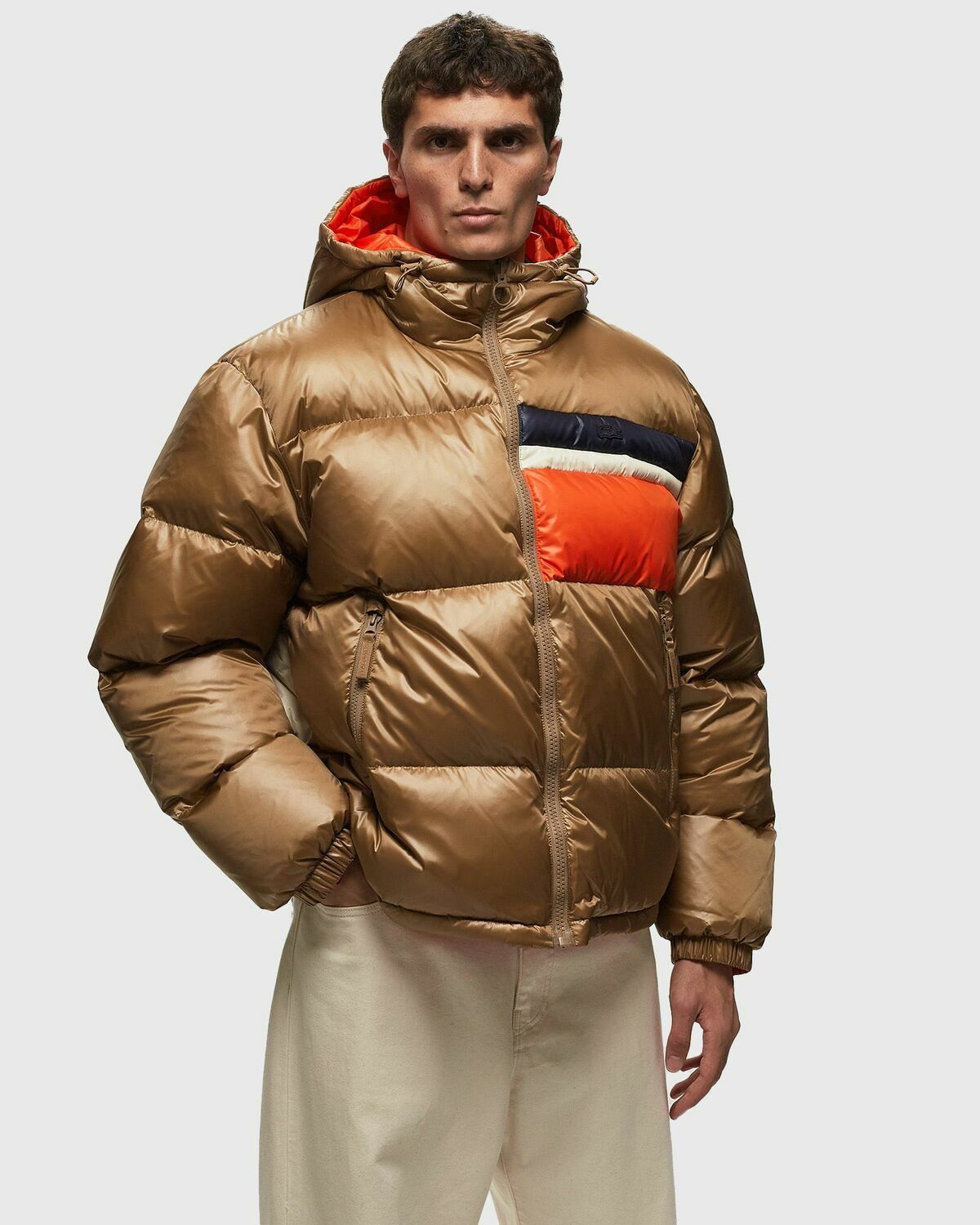 Lacoste Jacket Brown Down & Puffer Jackets Lacoste