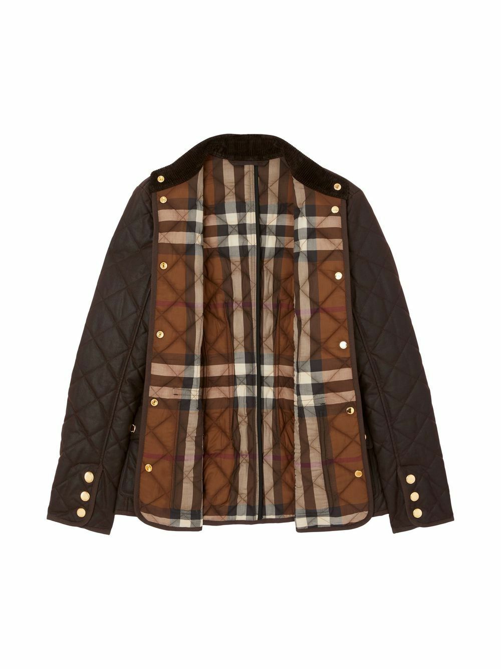 BURBERRY - Pett Jacket Burberry