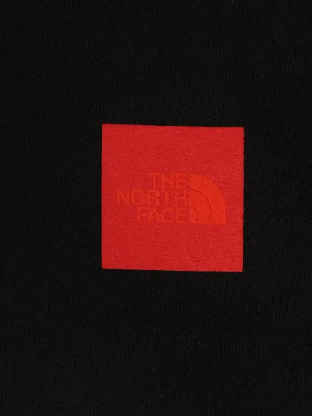 The North Face 40th Anniversary Mountain Hoodie The North Face