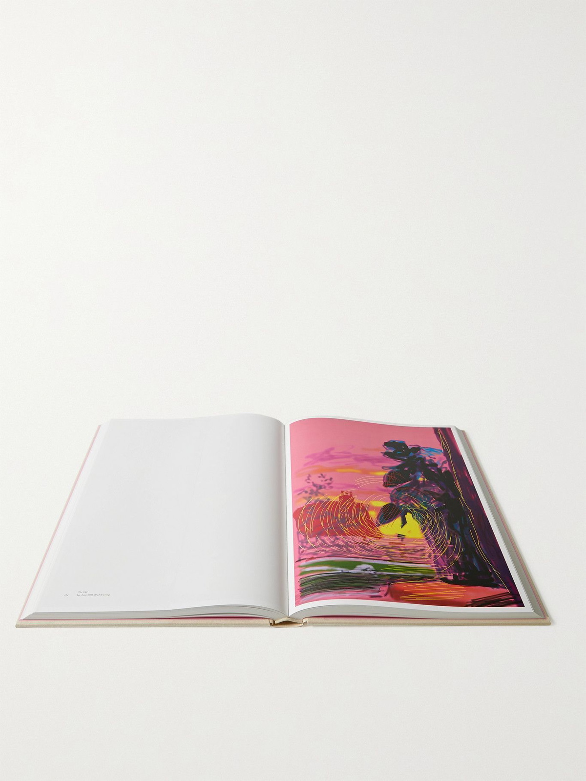 TASCHEN - David Hockney: My Window Hardcover Book Taschen